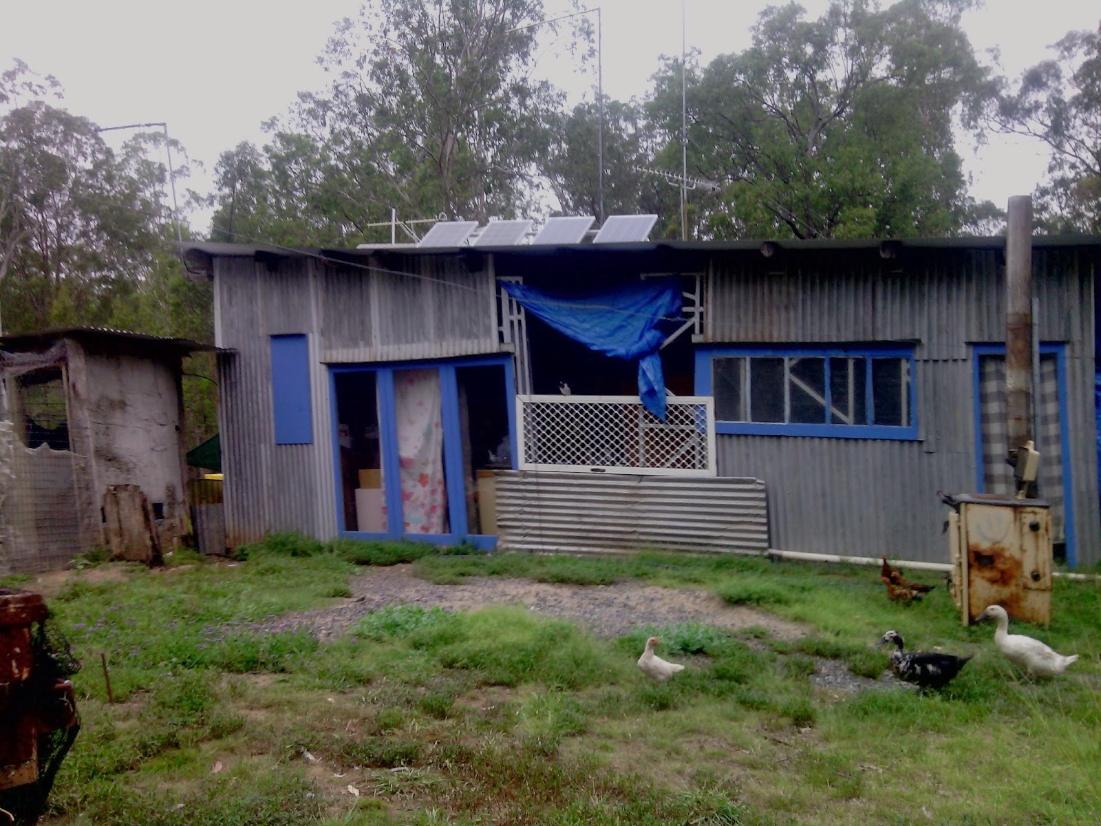 Chronicles of a humpy dweller: How the humpy was built...or 'Slap it ...